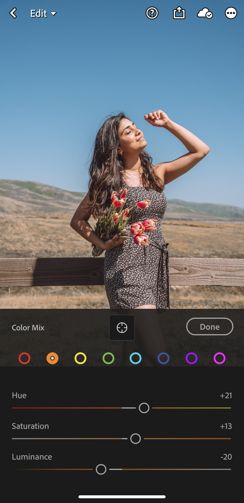 How to edit your Photos like a Pro! - Preksha Raj